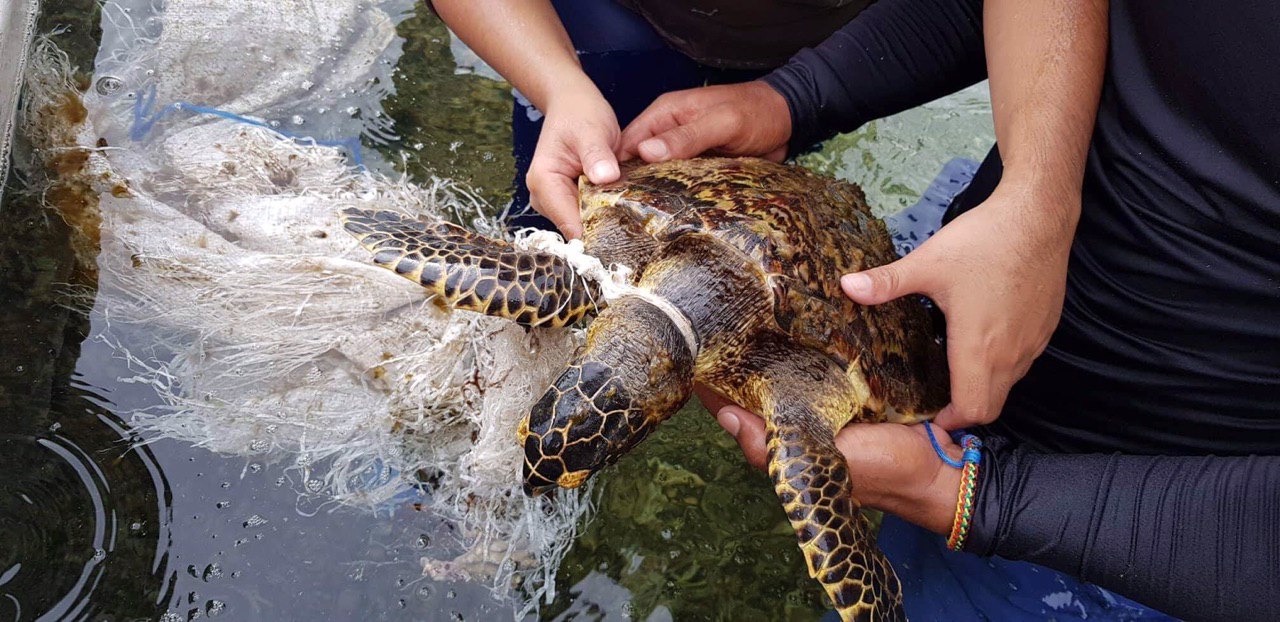 Sea Waste Education to Eradicate Plastic - Philippine Reef and ...
