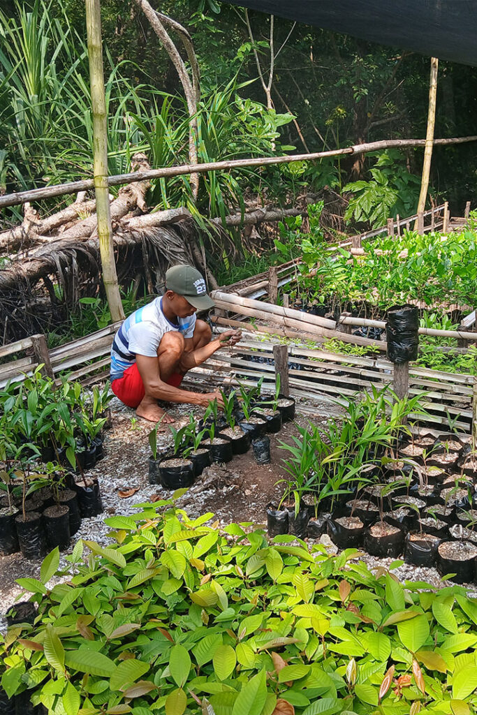 Project SEED - Philippine Reef and Rainforest Conservation Foundation, Inc.
